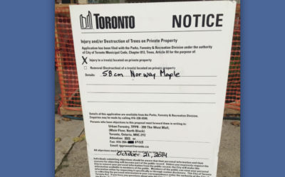 How to apply for a building permit in Toronto? - TMD Home Construction